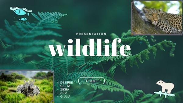 Wildlife