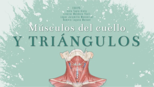 MÚSCULOS DEL CUELLO Y TRIÁNGULOS | Genially