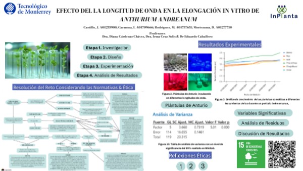 Experimentacion in vitro_ Evidencia 2