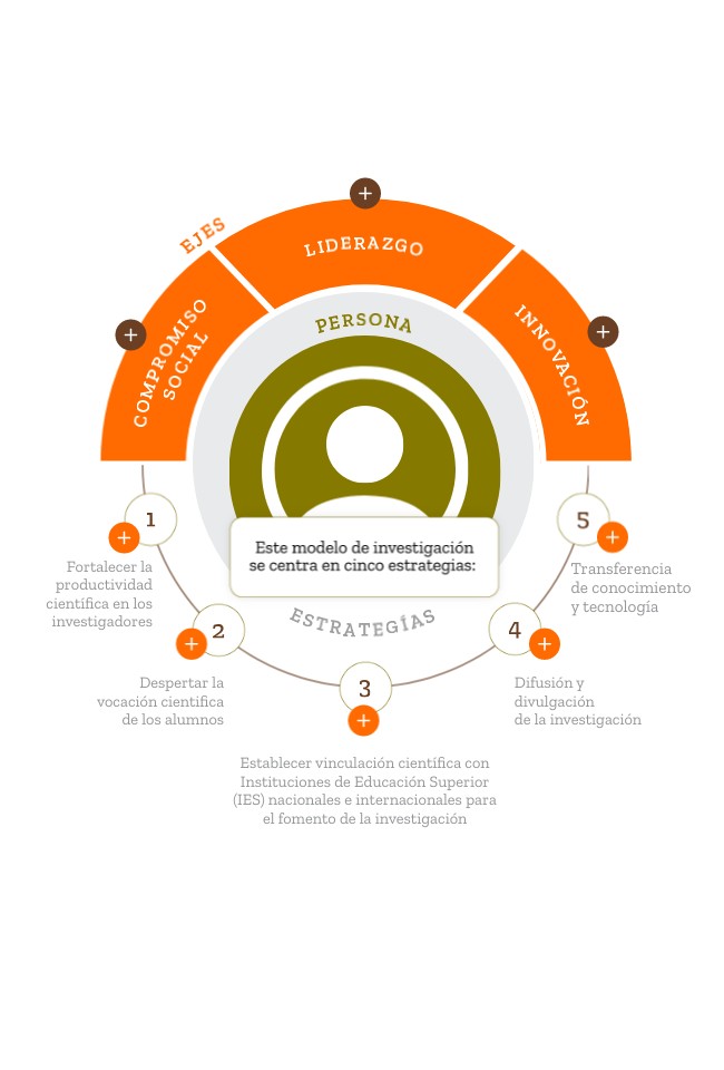 ANAHUAC_CIMAP_Plan Rector
