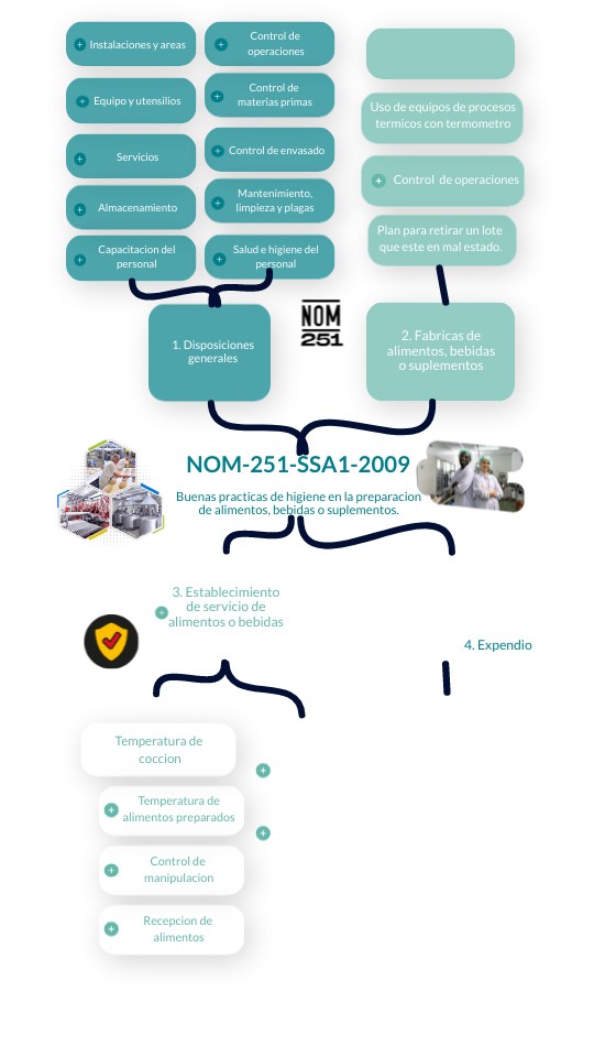 NORMA 251_MAPAMENTAL