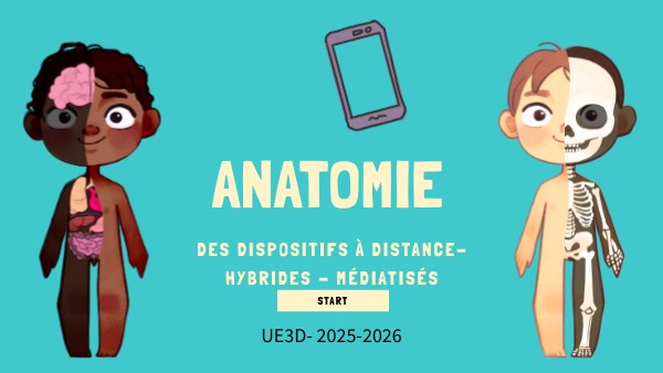 Copie - Anatomie des dispositifs hybrides -CAHIER | Genially