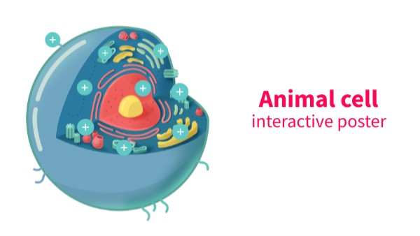 Interactive cell poster