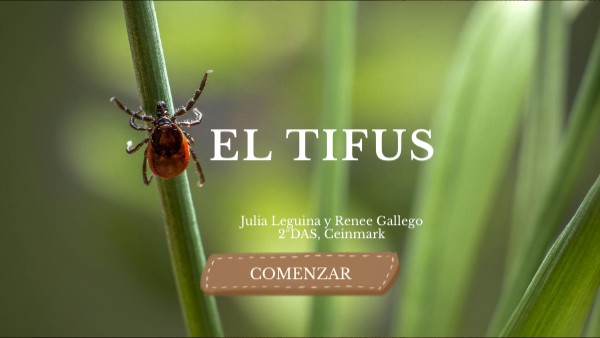 TRABAJO EL TIFUS JULIA Y RENEÉ