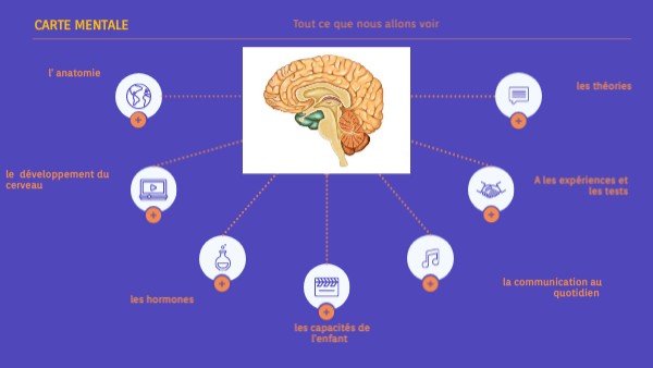 Carte mentale semi-circulaire | Genially