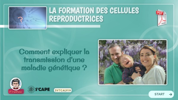 Caryotype et méiose