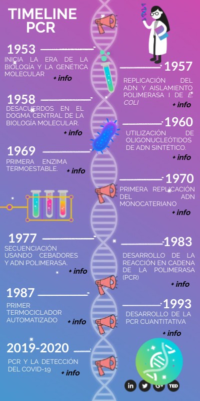 TIMELINE PCR_UNIR_YLC | Genially