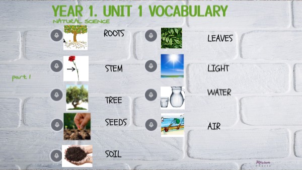Y1. VOCABULARY NATURAL SCIENCE U1 | Genially
