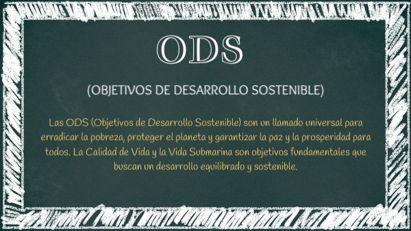 ODS N4 Y 14 | Genially