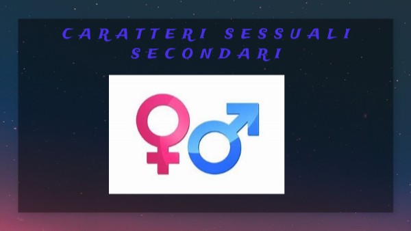 INFINITE SPACE PRESENTATION