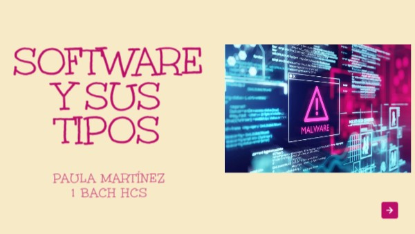 Software y tipos