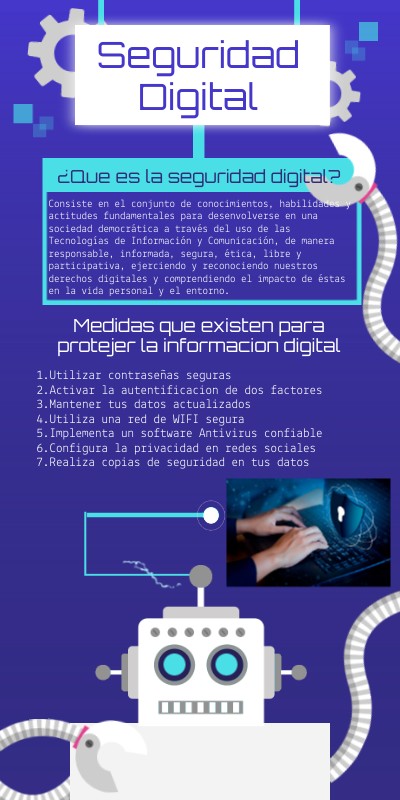 Infografía De la Seguridad Digital | Genially
