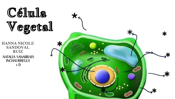 Célula vegetal | Genially