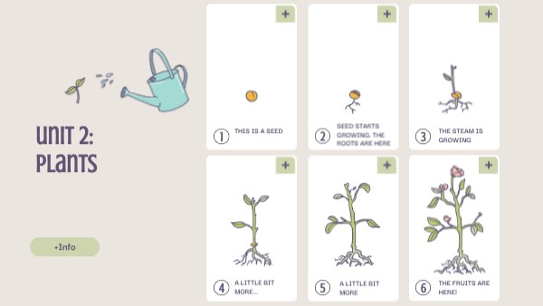 Plant Growth Stages | Genially