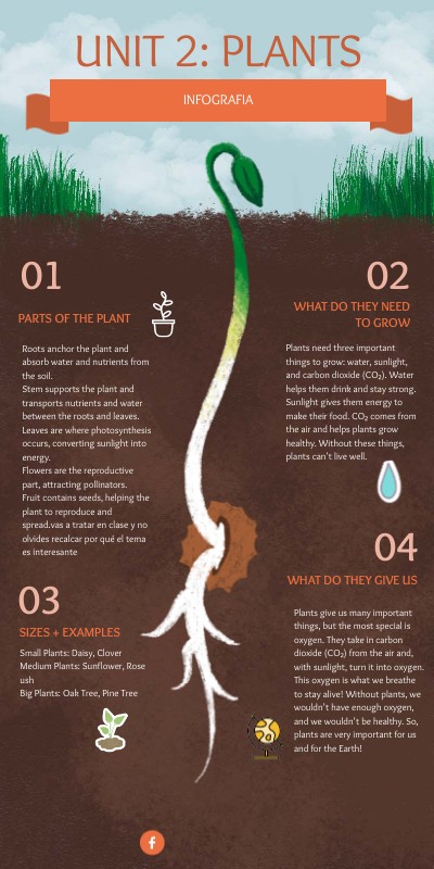 infografia Plants | Genially