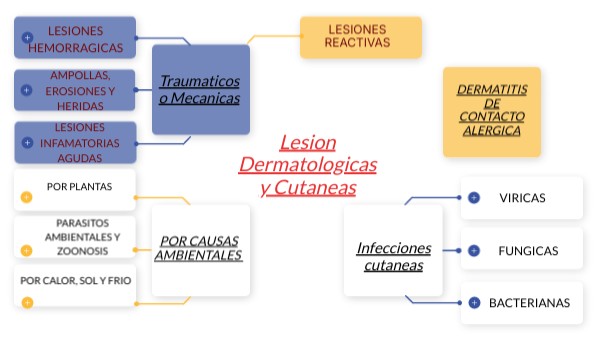 ESQUEMA ES.1 TEMA 3 | Genially