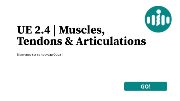 S1 UE 2.4 Muscles, Tendons & Articulations