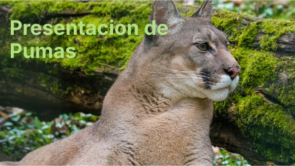 las pumas | Genially