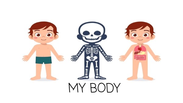 MY BODY