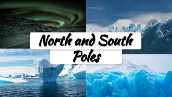 North And South Poles | Genially