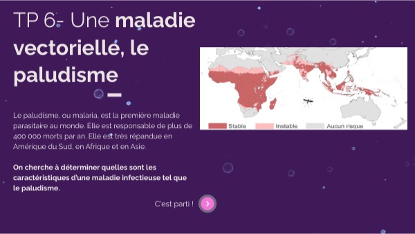 TP 6 paludisme: maladie vectorielle