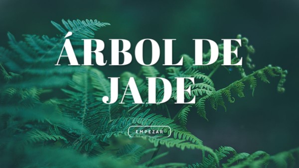 Reforestar con sentido-Amaya 2024