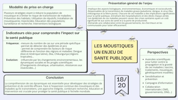présentation moustiques | Genially