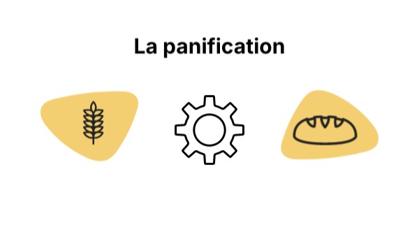 CAP Boulangerie - La panification | Genially