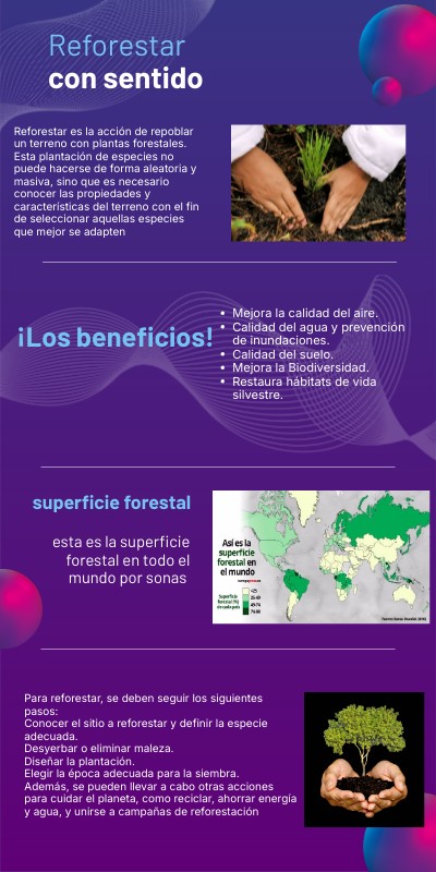 reforestar con sentido | Genially
