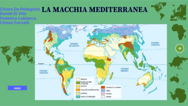 LA MACCHIA MEDITERRANEA