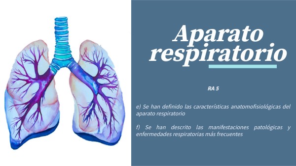 AFPB UD 3. APARATO RESPIRATORIO | Genially