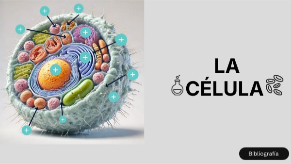 Póster interactivo célula