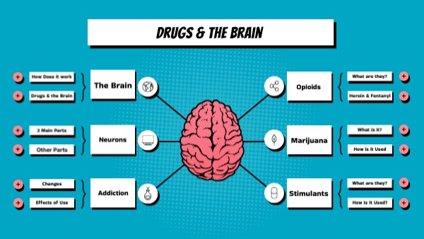 Drugs & The Brain | Genially