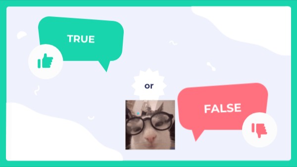 Reading Quiz | Genially