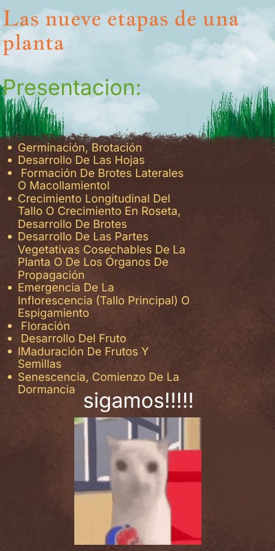 Lista Semilla
