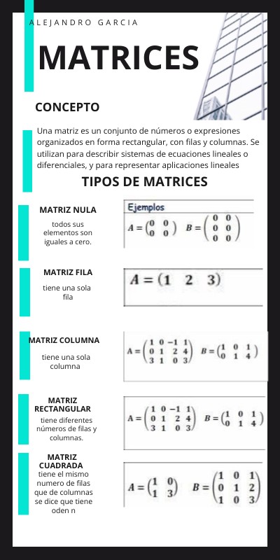 Infografía matrices | Genially