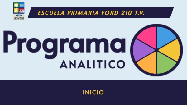 Programa Analitico