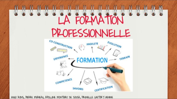 LA FORMATION PROFESSIONNELLE M2 DAS | Genially