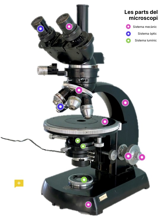 Les parts del microscopi