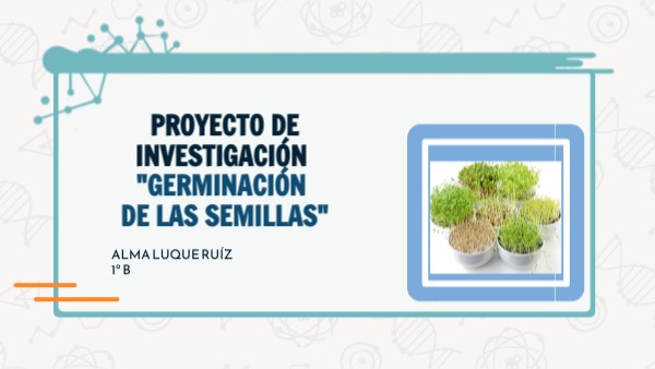 PROYECTO INVESTIGACIÓN "GERMINACIÓN DE LA SEMILLA" | Genially