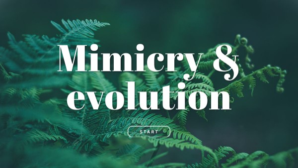 Mimicry and evolution