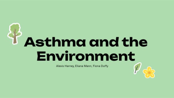 Respiratory system interactive | Genially