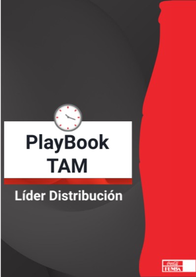 Playbook TAM-Líder Distribución.pdf | Genially
