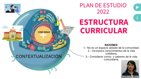 PLAN DE ESTUDIO NEM-ESTRUCTURA CURRICULAR