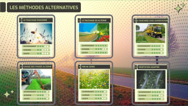 les méthodes alternatives | Genially