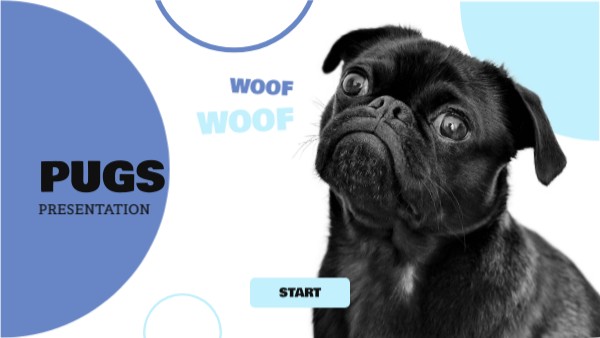 PUGS PRESENTATION | Genially