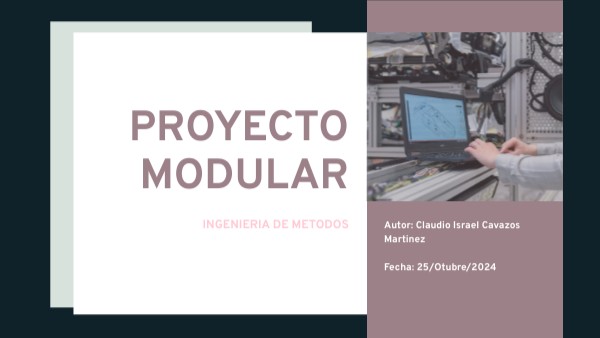 PROYECTO MODULAR. INGENIERIA DE METODOS AL102199