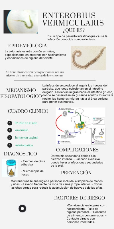 Infografía Oxiuro | Genially