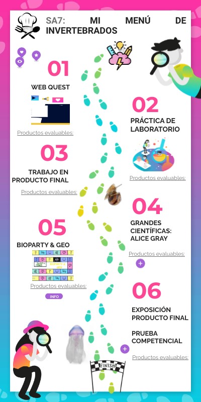 RUTA DE GUÍA | Genially