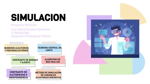 Proyecto Simulacion